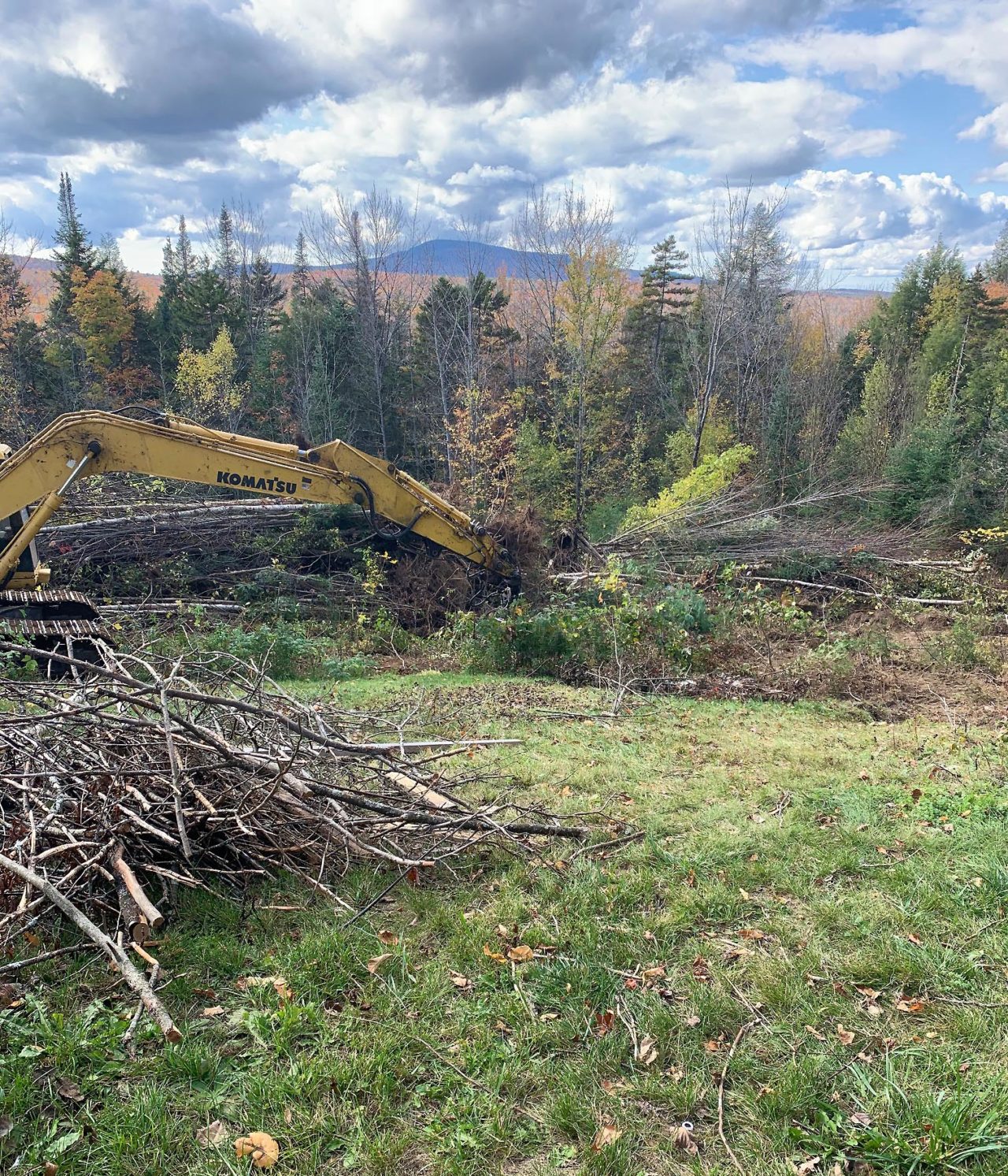 Excavation - Kingdom Timber